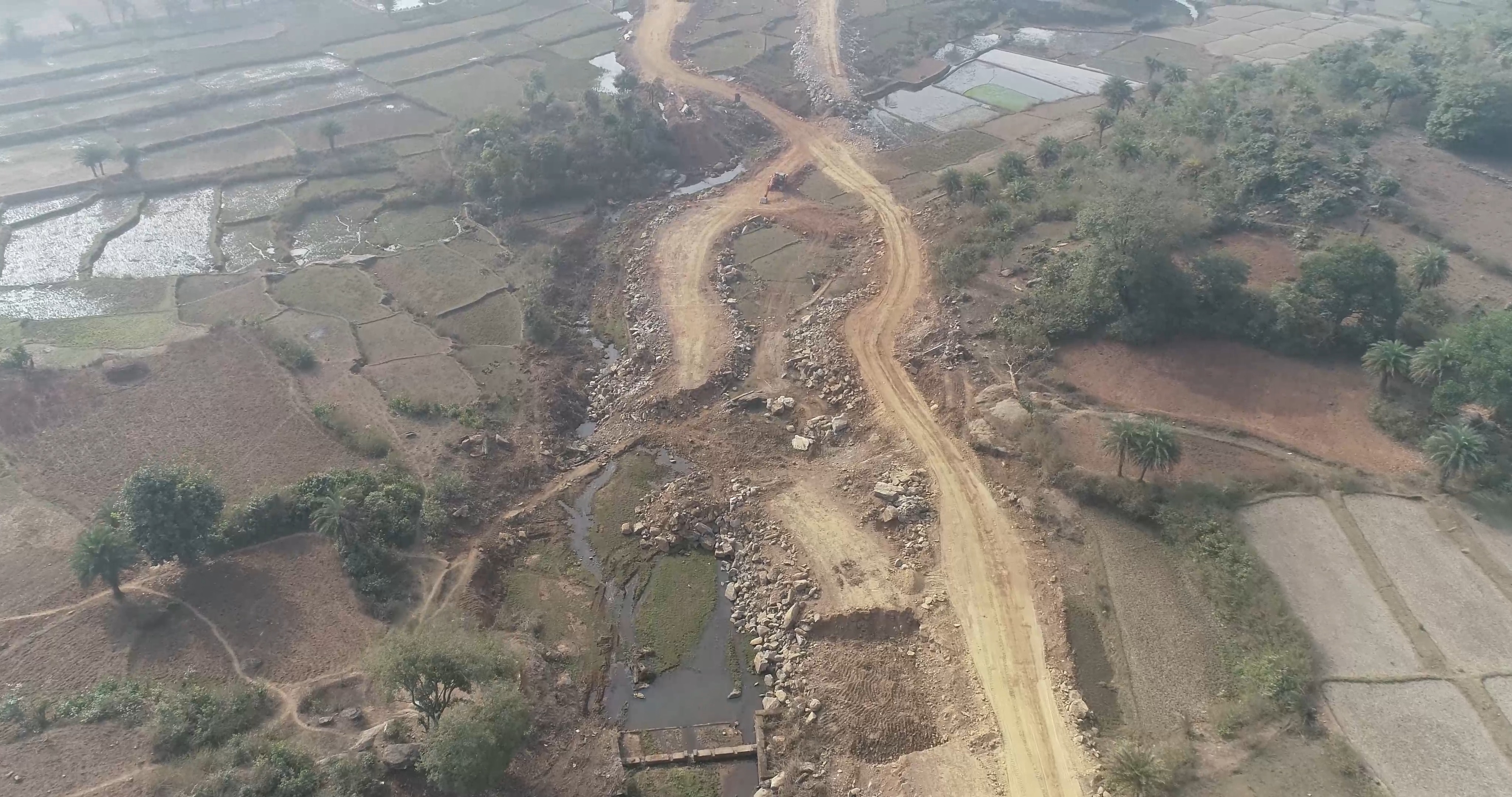 tree_pilot Object Detection Dataset and Pre-Trained Model by ...