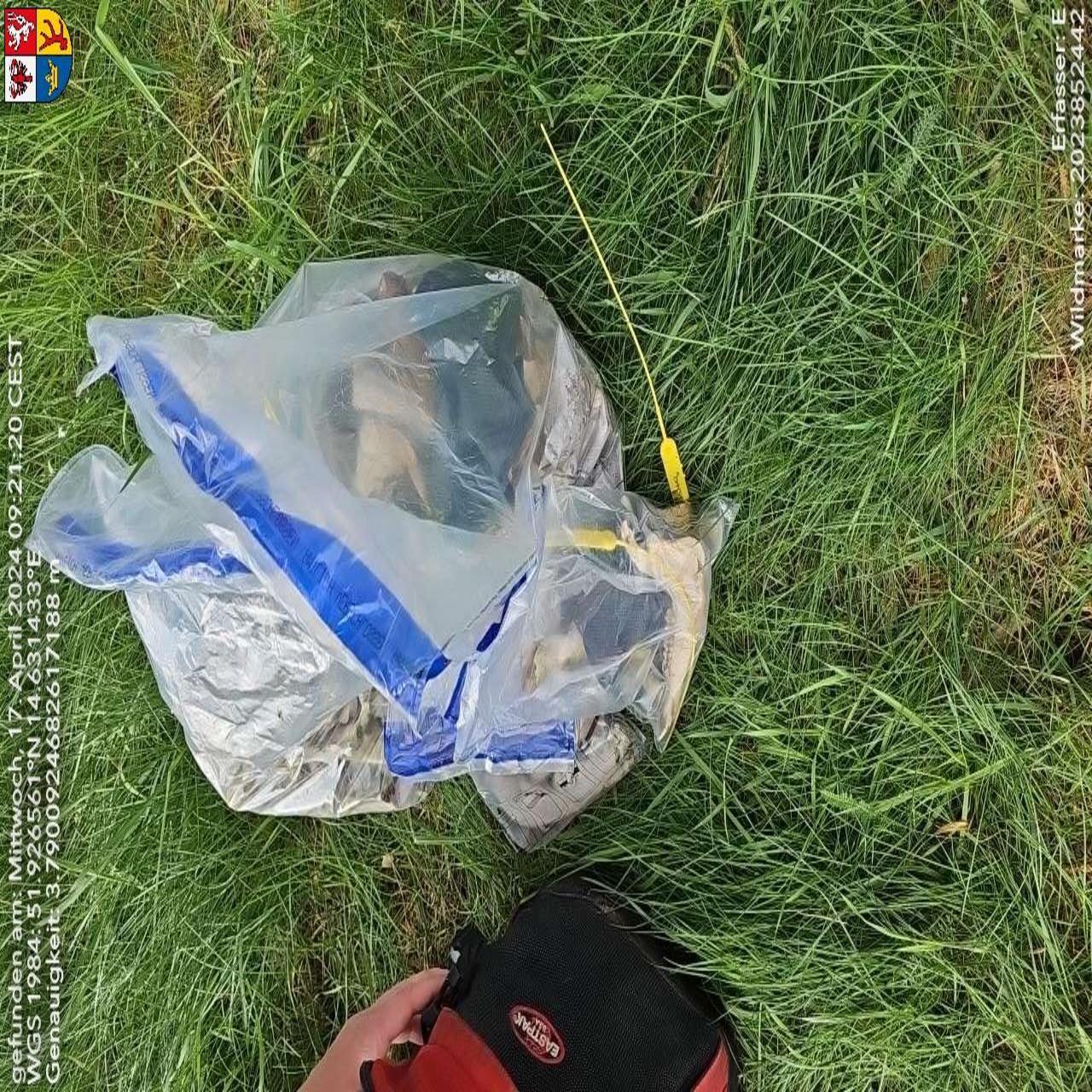 How to Use the Kadaver Object Detection API