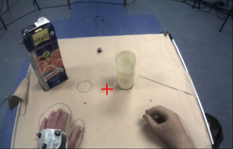 PLATE + HAND Instance Segmentation Dataset and Pre-Trained Model by master