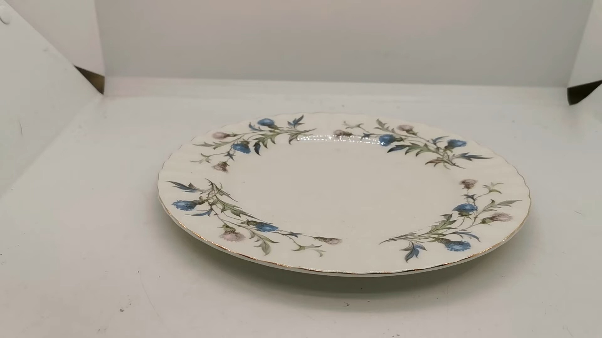 JU PLATE Instance Segmentation Model by master