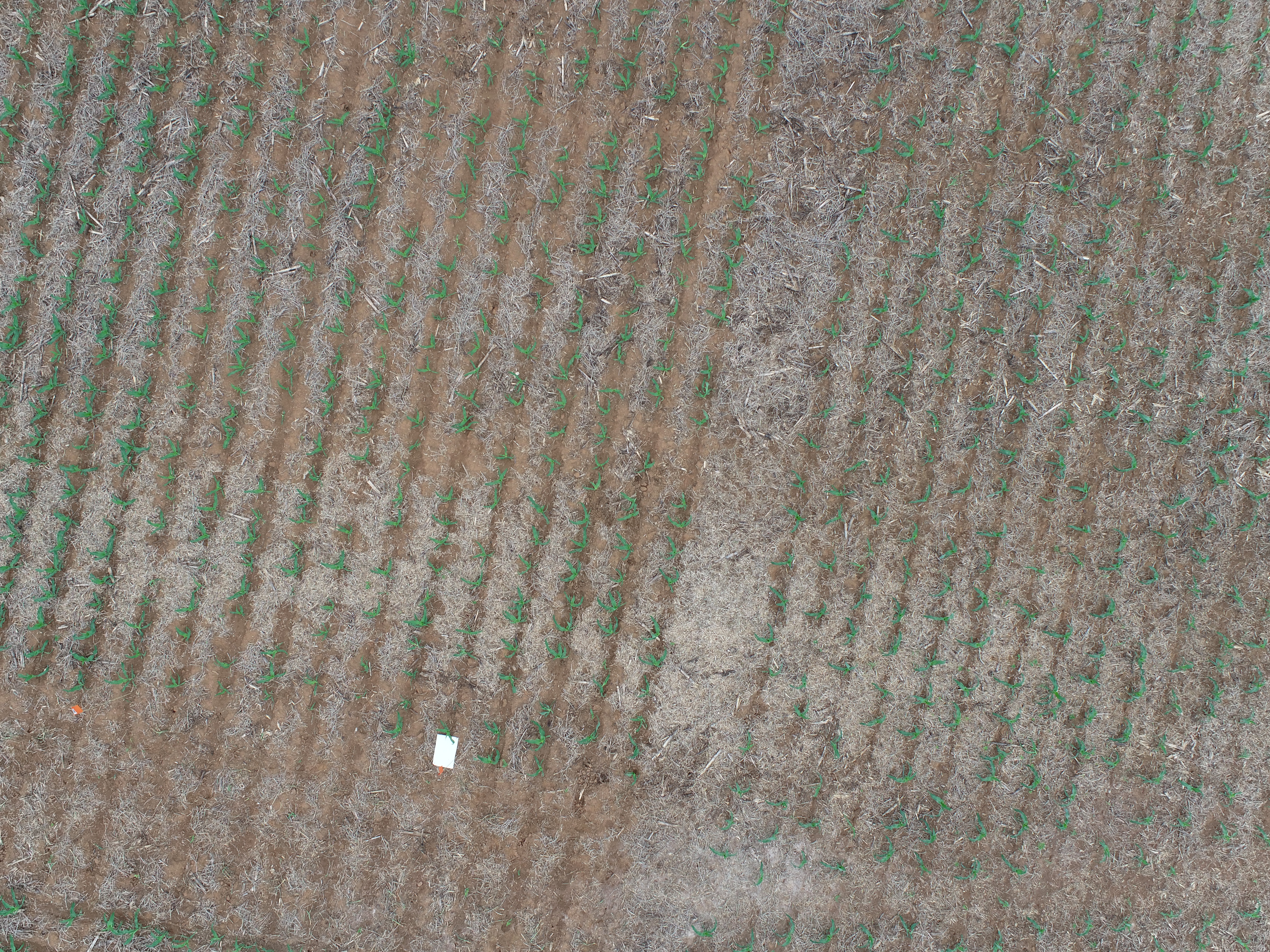 Drones EnviroTest Object Detection Model by GDM