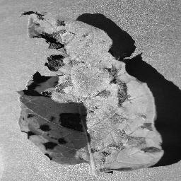 YoloV9 Object Detection Dataset and Pre-Trained Model by 123456