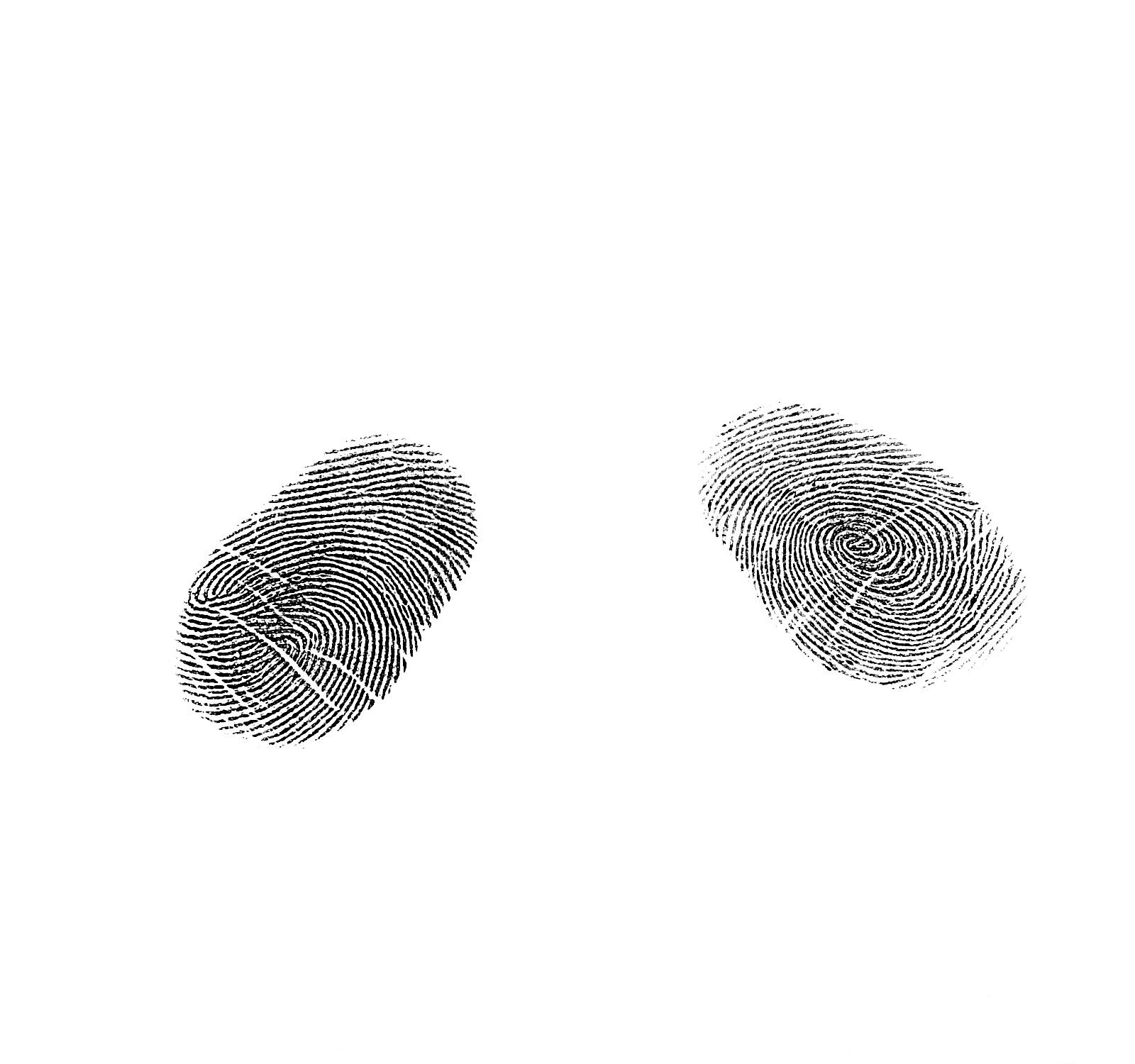 Fingerprints Object Detection Model by Biometrics