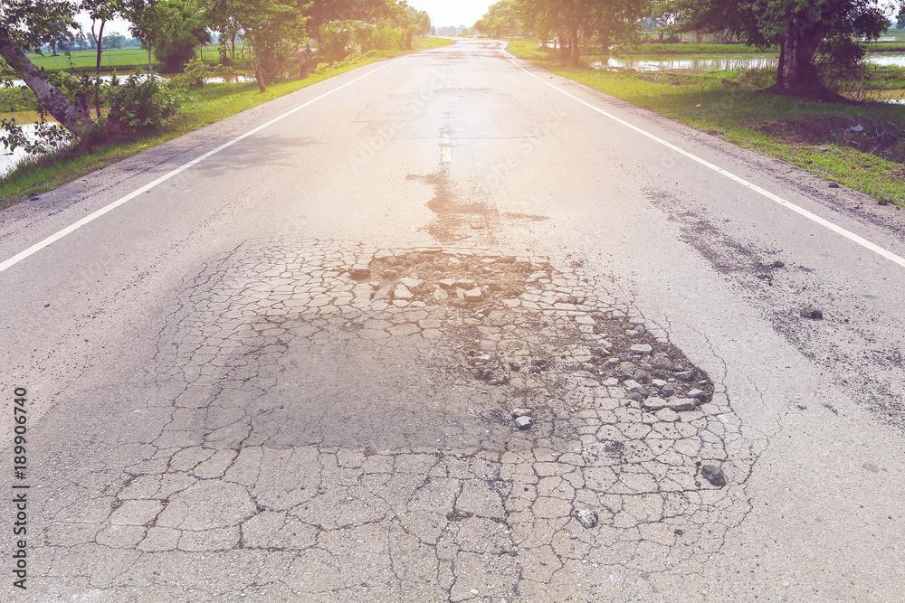 1000 Object Detection Dataset by dcsdfc