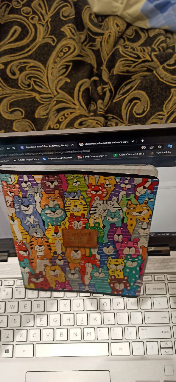 Applied Machine Learning Assignment 2 Segmentation Object Detection Dataset And Pre Trained