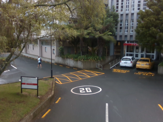 Tree Dataset 2023 Object Detection Dataset And Pre Trained Model By