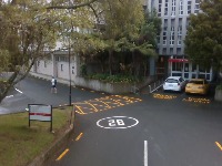 urban tree detection - Roboflow Universe