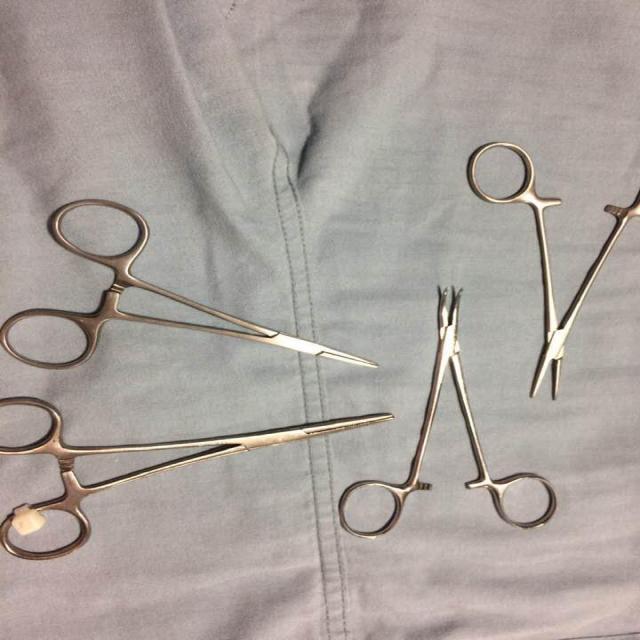 SGTD Object Detection Dataset and Pre-Trained Model by Northeastern ...