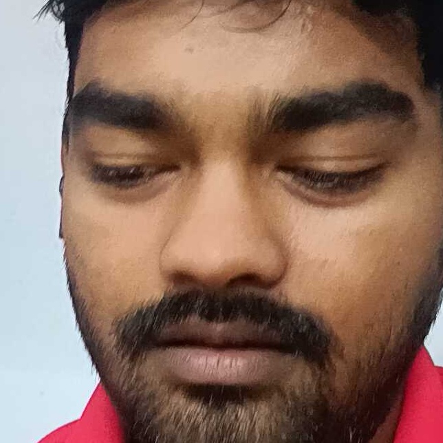 Real time face recognition(YOLO) Object Detection Model by Facerecminpro