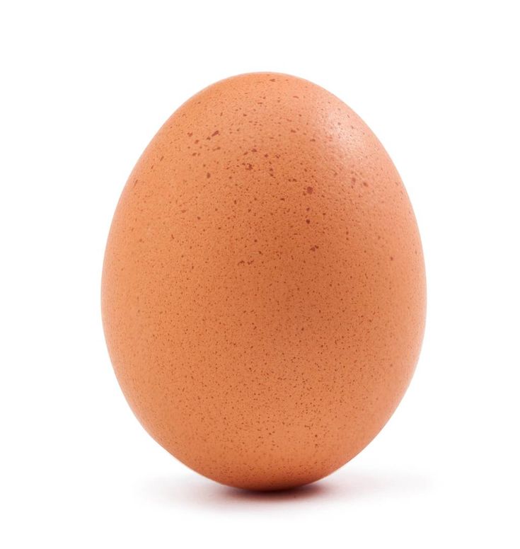 Deteksi Telur Object Detection Dataset By Machine Learning