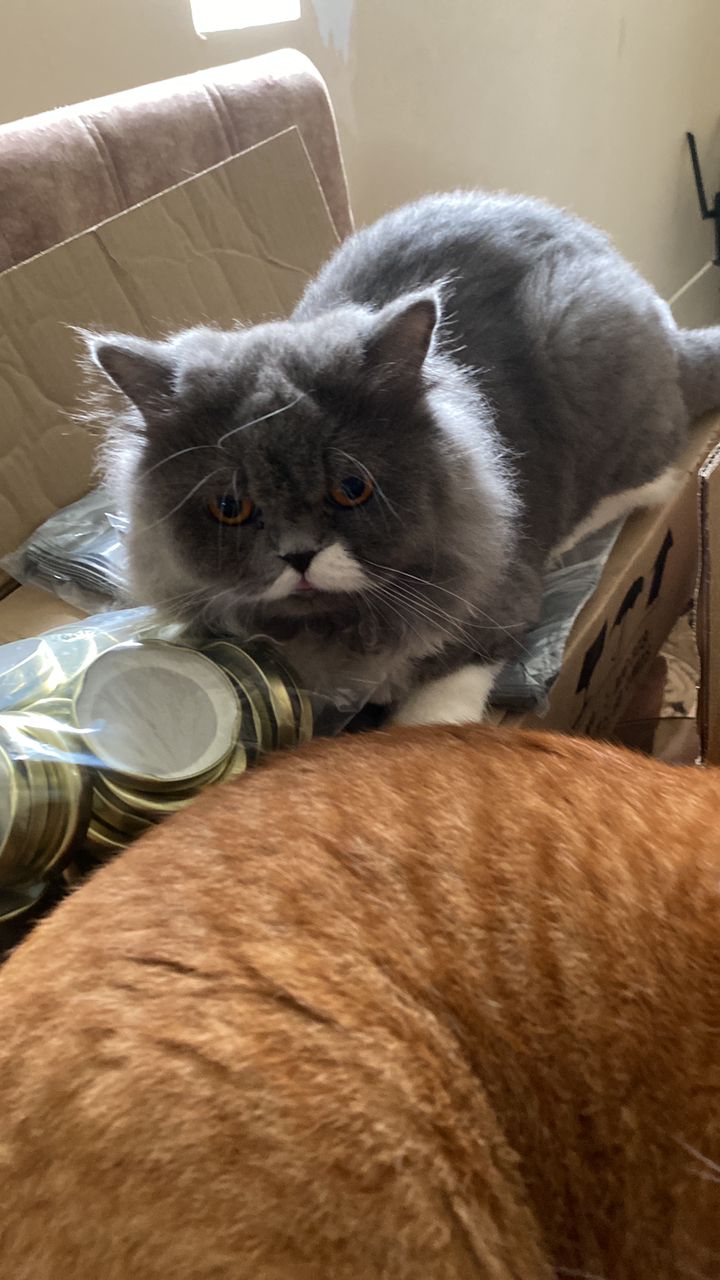 Artificial Intelligence (artificial-intelligence-gtifu) - Roboflow Universe