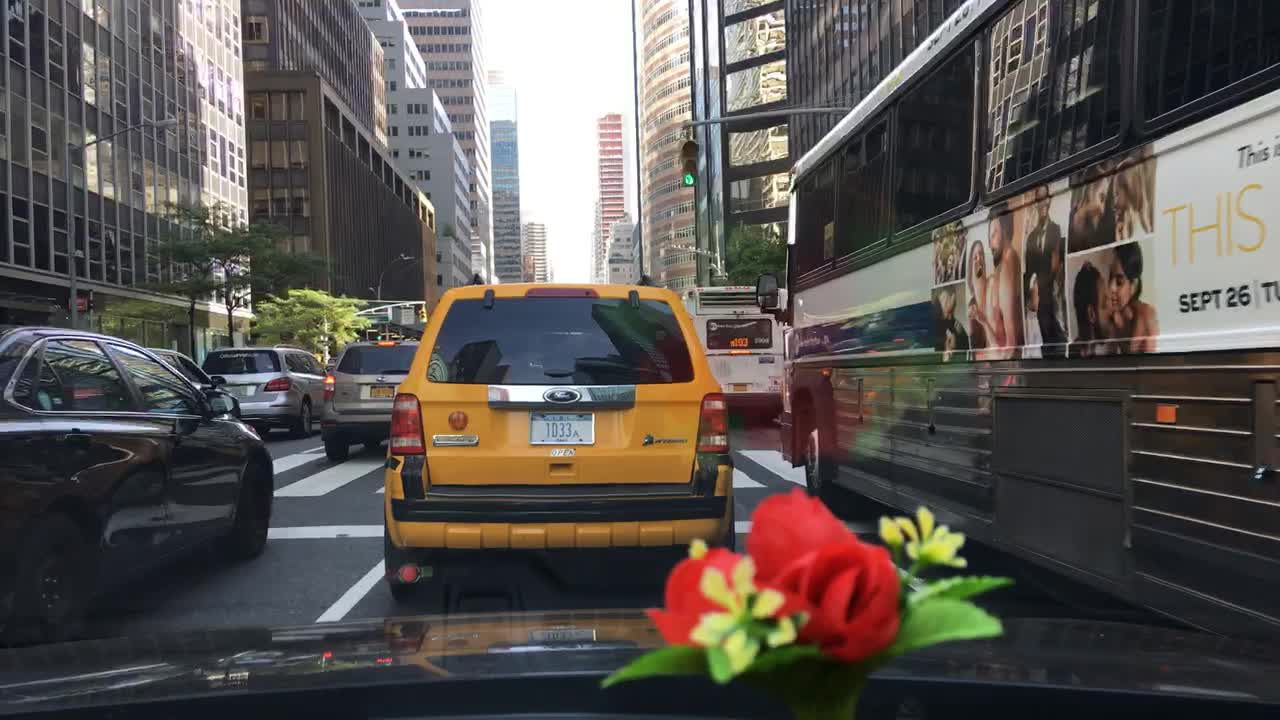 Object Car Plate Detection Roboflow Universe