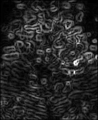 valid_class_v2 Classification Dataset by Raw Data