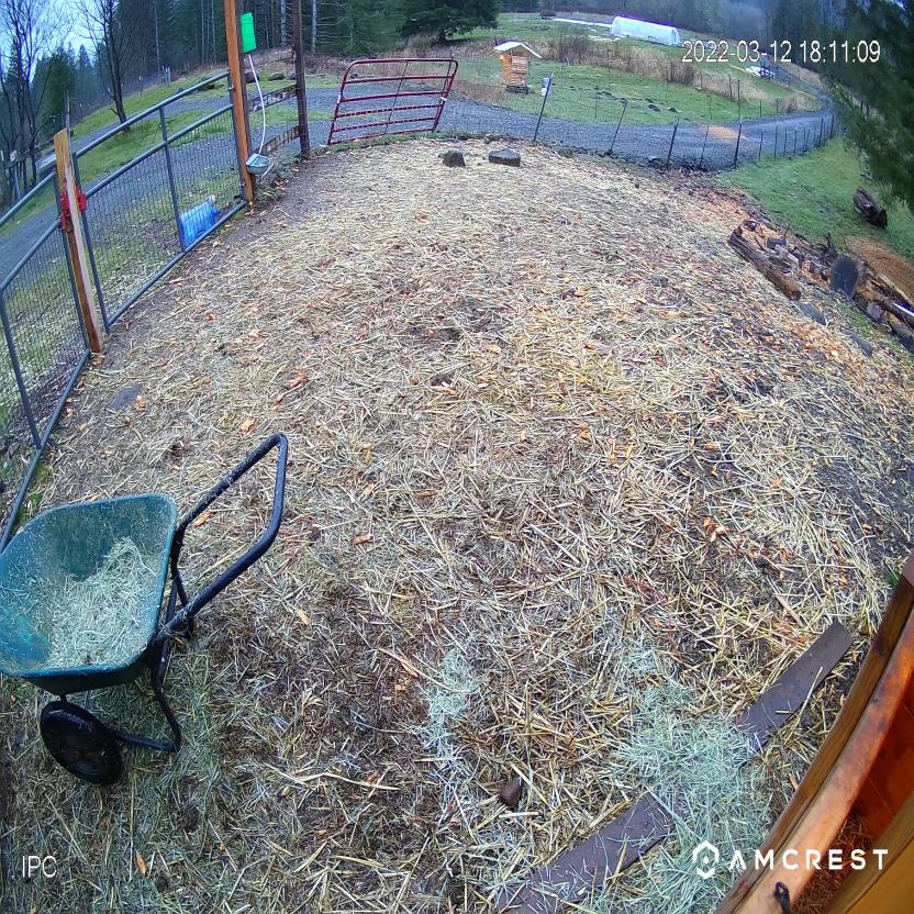 Goat Object Detection Model by AU