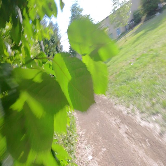 batch 1 Object Detection Model by object detection for drones