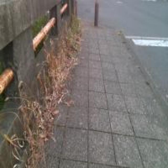 Sidewalk_segment Semantic Segmentation Model by sidewalk