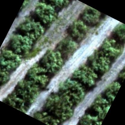 TREE DETECTION Object Detection Dataset and Pre-Trained Model by PLATE