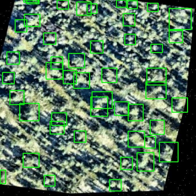 Trees Counting Object Detection Dataset by PLATE