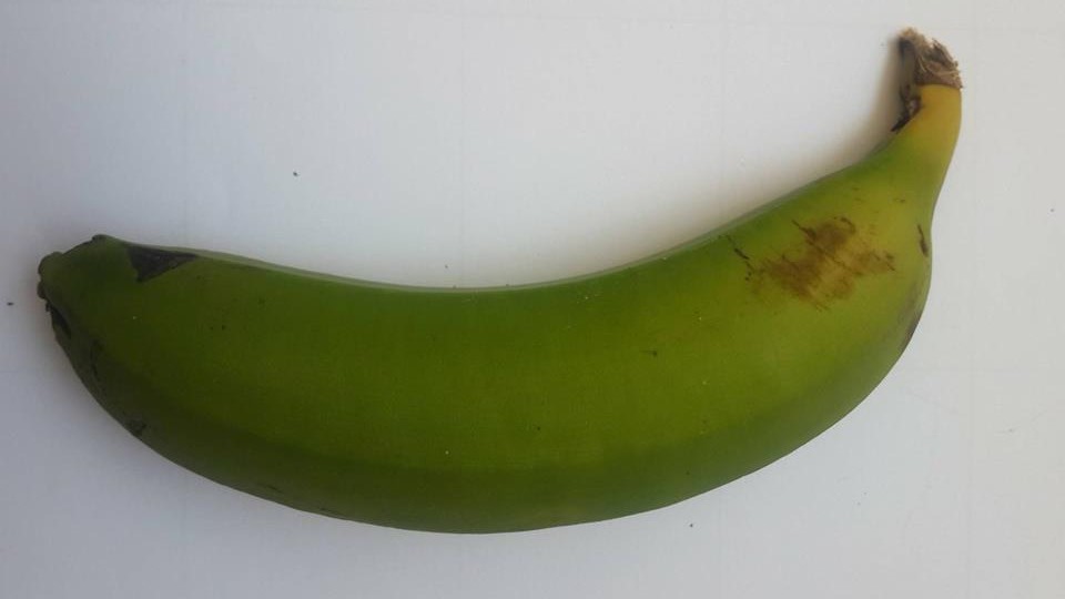 Banana5 Object Detection Dataset V1 2023 11 26 7 44pm By Kasetsart