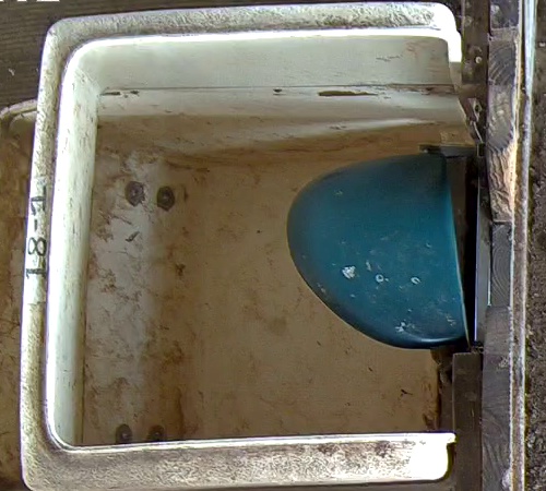 FB-Score-01 Classification Dataset by PCX01