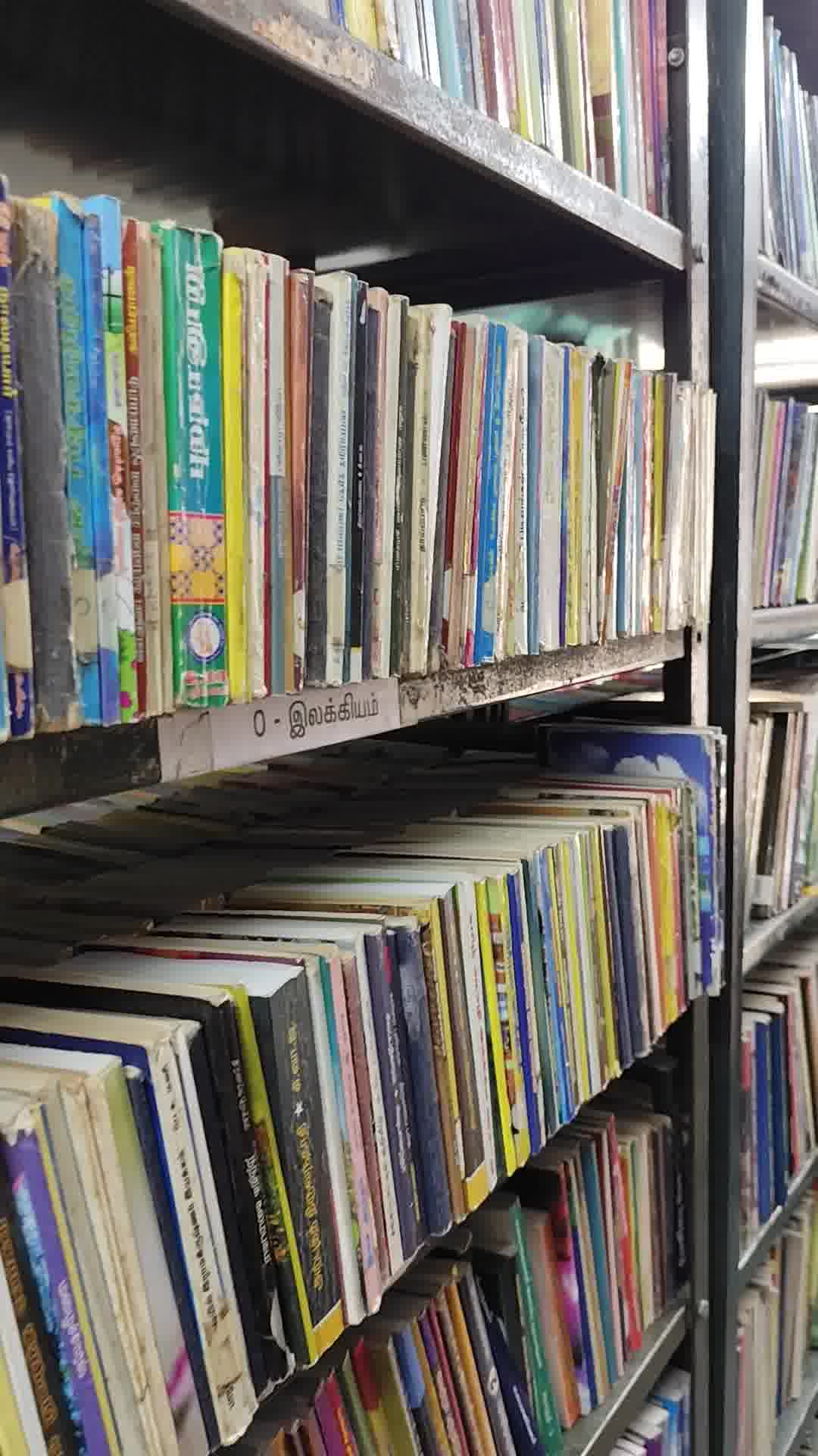 Lib Object Detection Model by Rooks