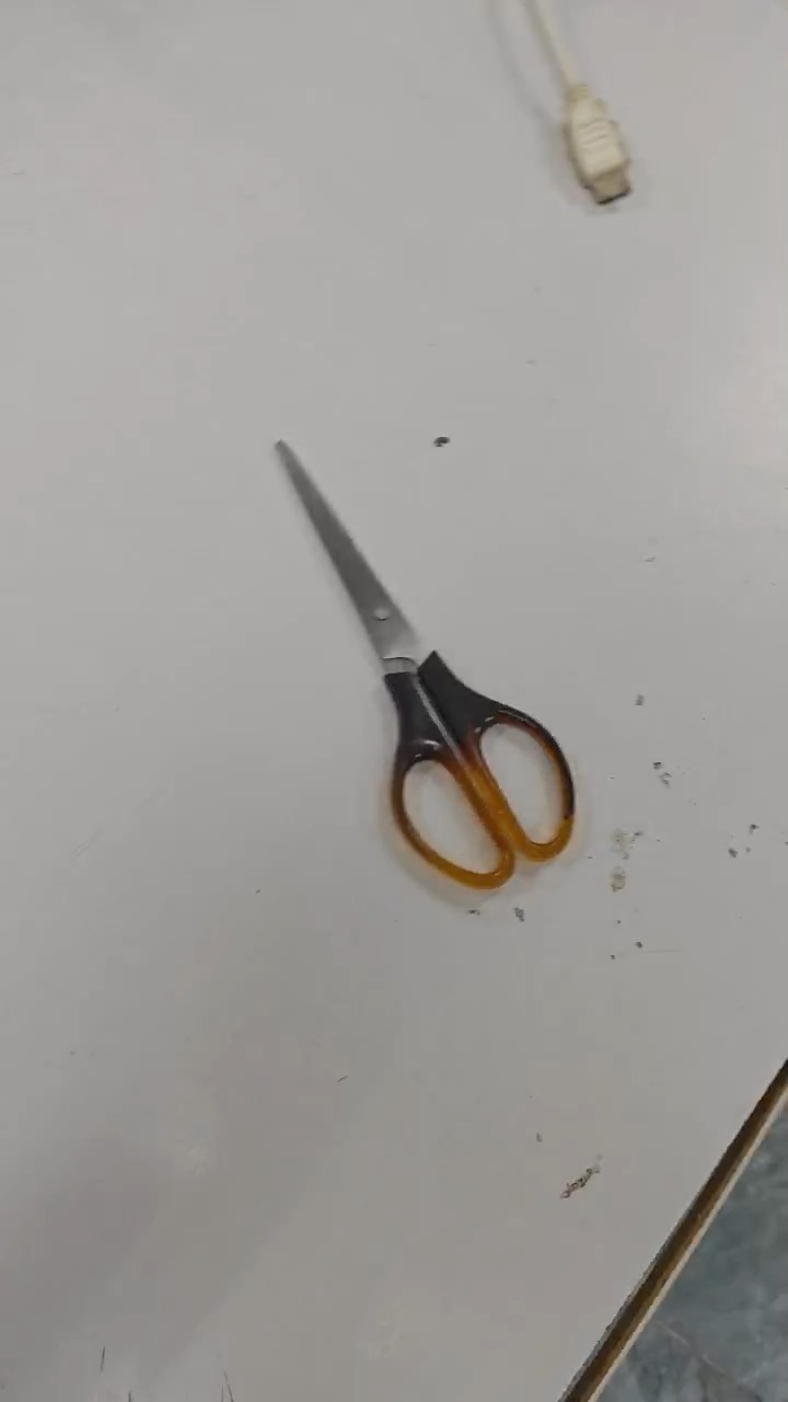 scissors Object Detection Dataset by yolo11