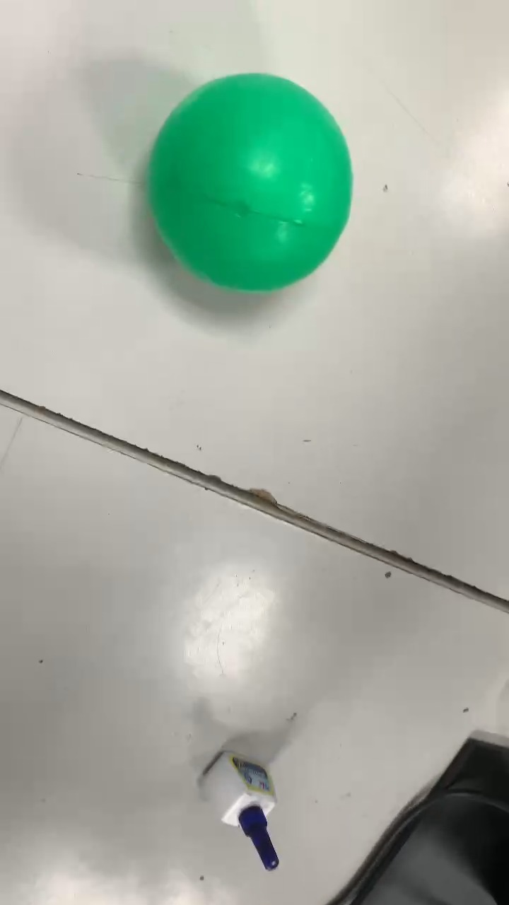 ball Object Detection Dataset by yolo11