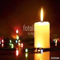 Wild FIRE Sentry - Roboflow Universe