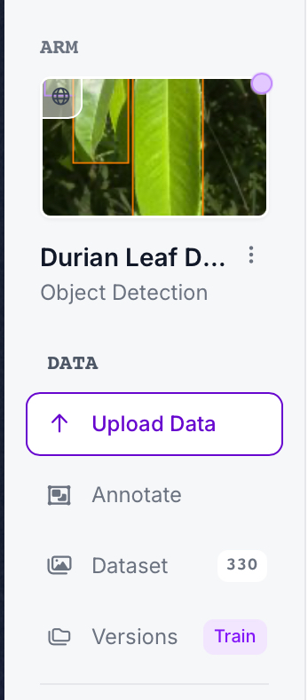 How to Use the Durian Object Detection API
