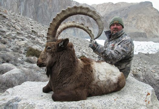 CCNYP2025 - Roboflow Universe