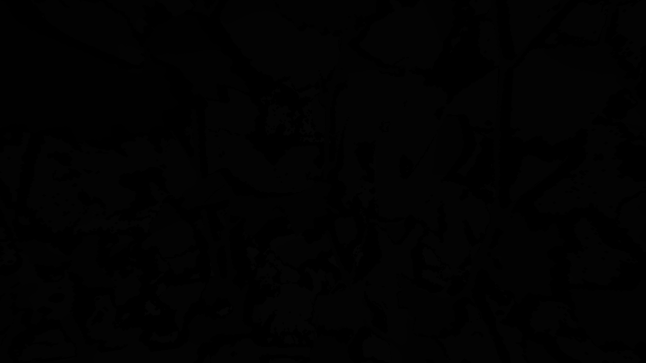person Instance Segmentation Dataset by OrangeKi