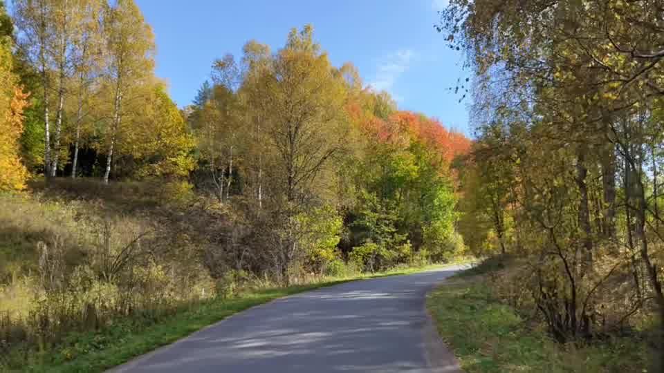 final Instance Segmentation Dataset by Hachaton23otbor