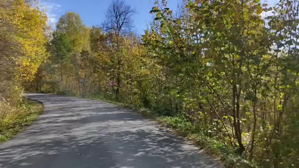 sam Instance Segmentation Dataset and Pre-Trained Model by Hachaton23otbor