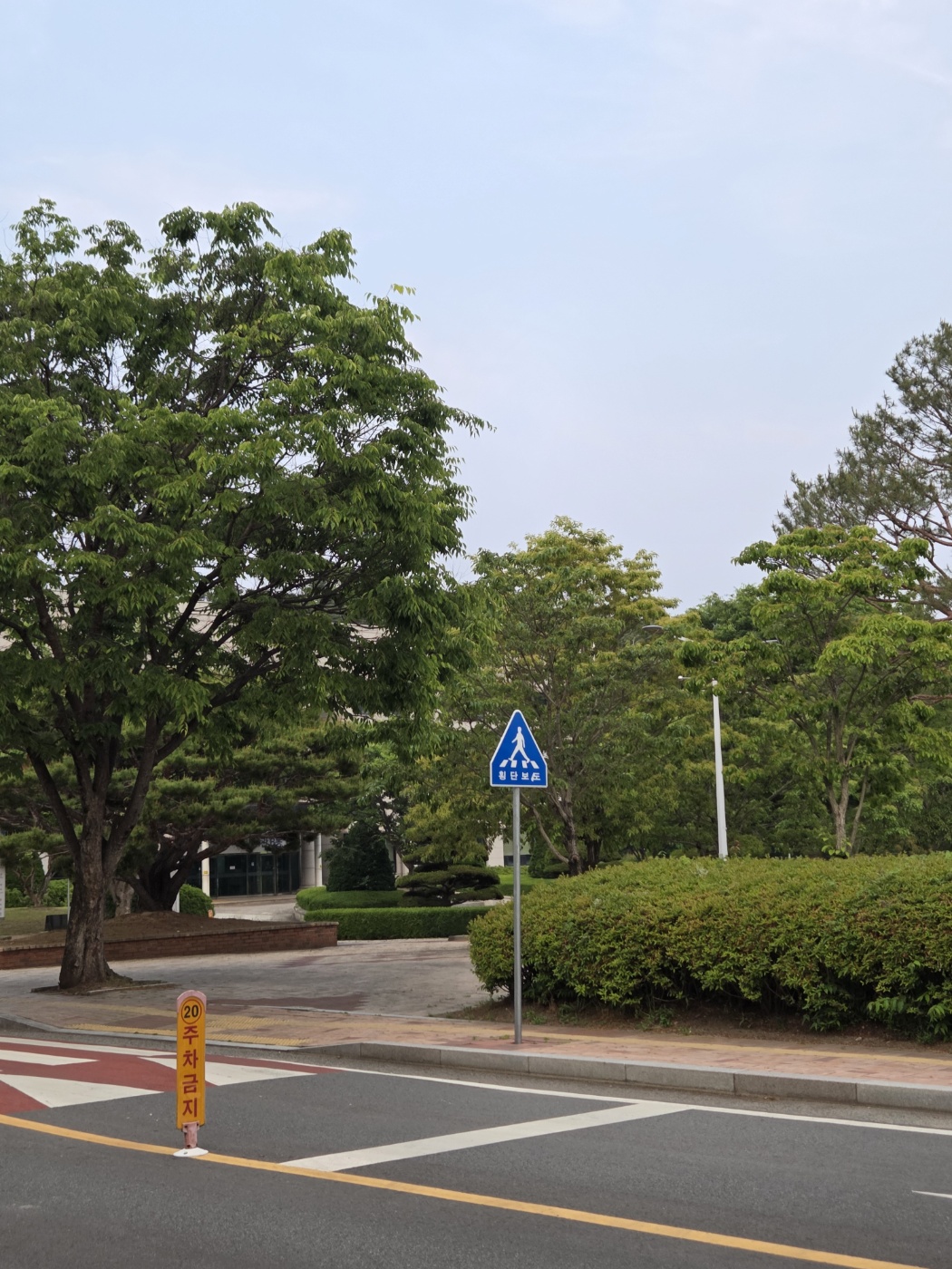 Road Sign Dataset And Pre Trained Model By Termp2