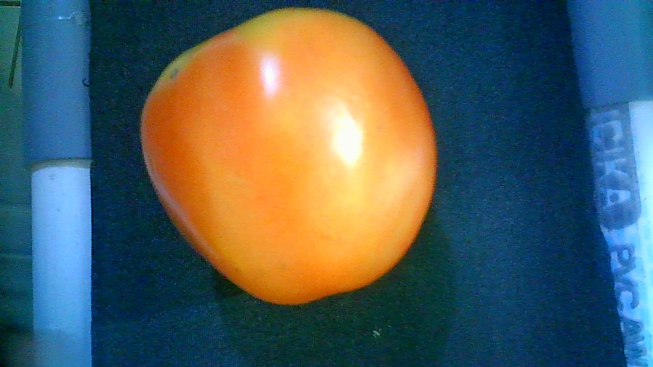 Tomato Object Detection Model by Lintang Budiarti