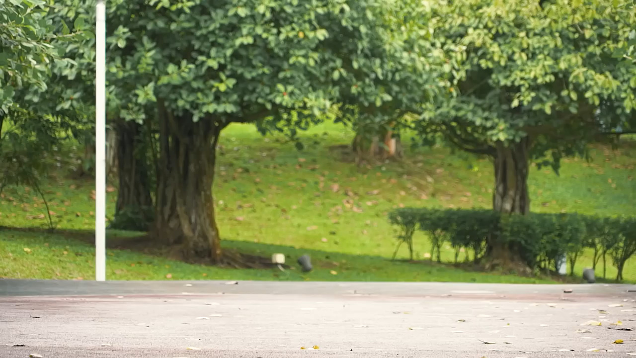 Pose Prj. Keypoint Detection Dataset by Workspace