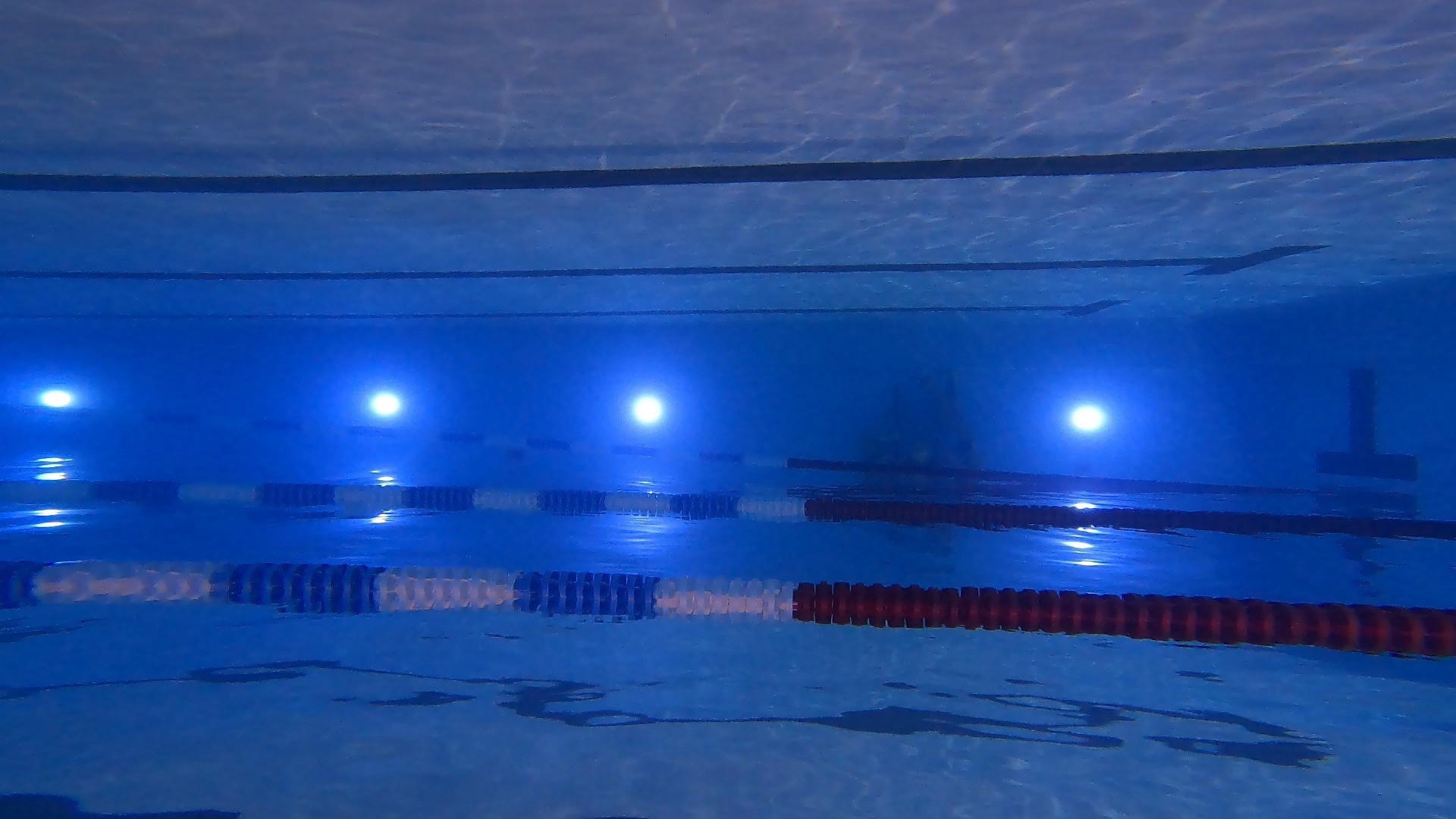 underwater Object Detection Dataset by YOLo