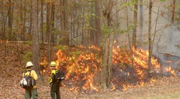 Fire Instance Segmentation Dataset and Pre-Trained Model by Fire deduction using YOLOv9