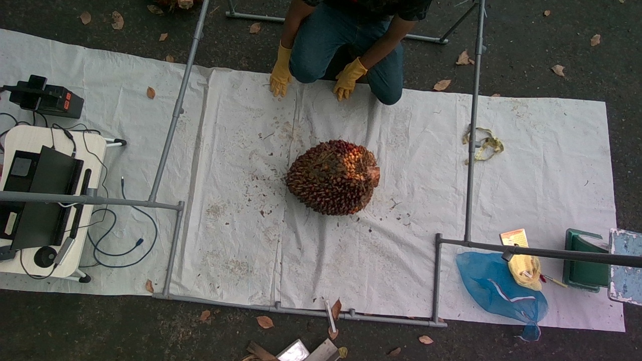 How to Use the YOLOv8 Bounding Box Method Object Detection API