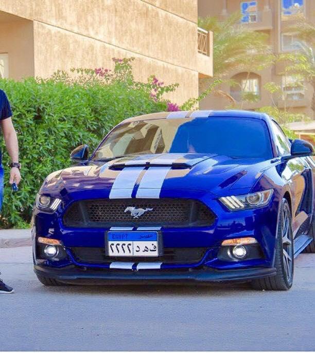 Egyptian cars database Object Detection Model by alyalsayed