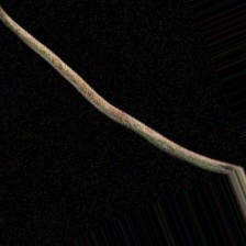 Nematode Detection Object Detection Dataset by Microbe classification