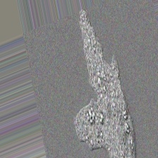 Amoeba Microbe Object Detection Model by Microbe classification