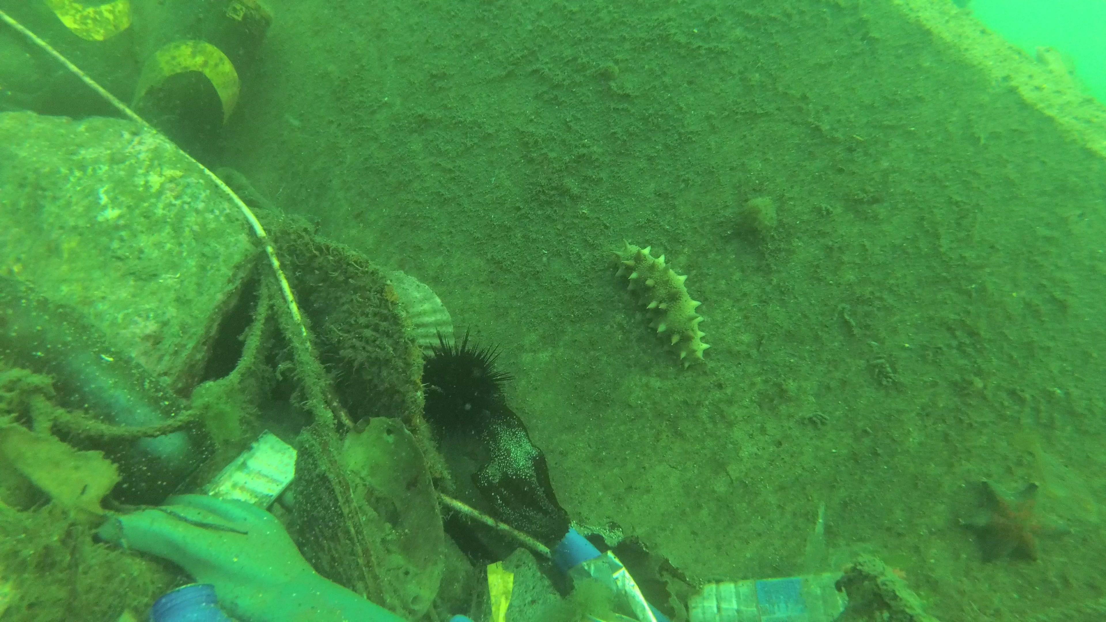 Underwater Detect Object Detection Dataset By Cyxroboflowunderwater