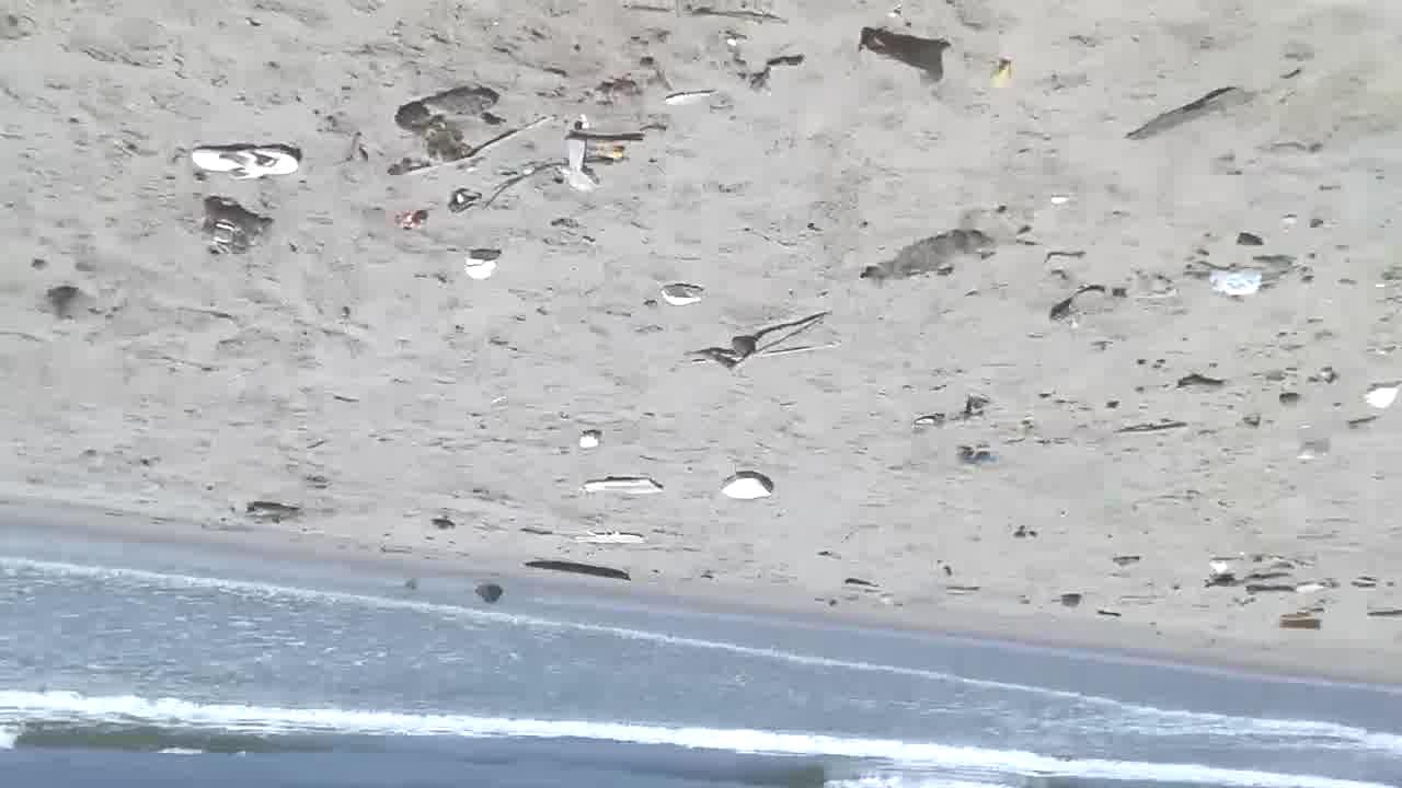 TrashDetection Object Detection Model by Datos