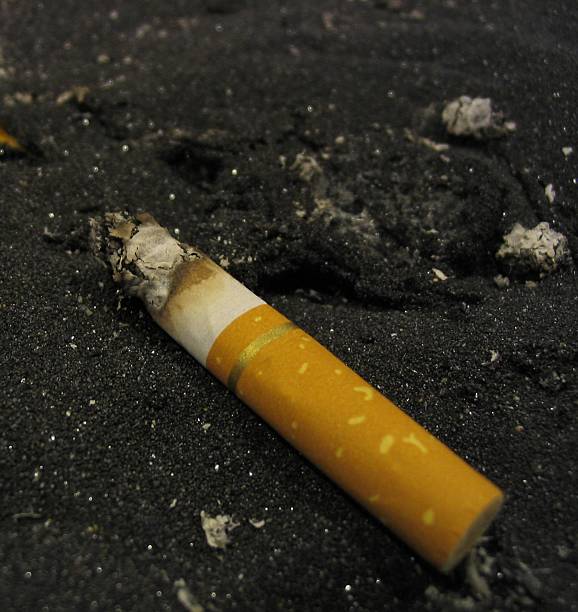 cigarette Object Detection Dataset by Toby Ai