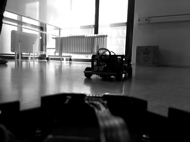 kiwi-detection Object Detection Dataset by kiwidetection