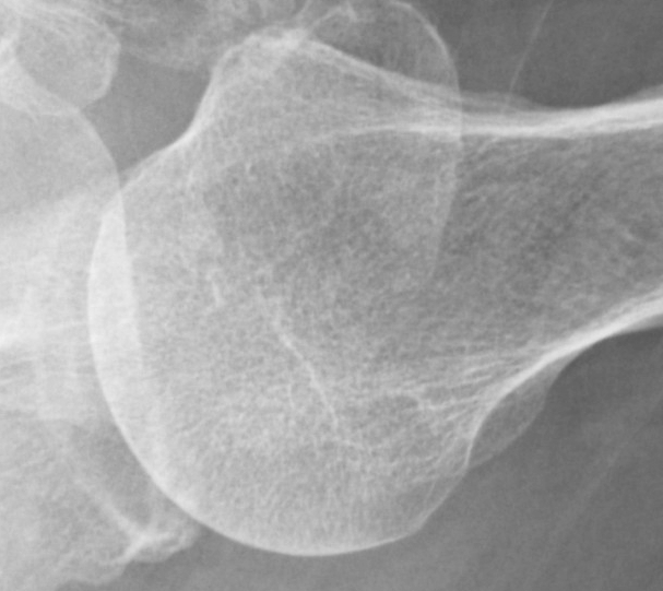 crop classification Classification Dataset by CGMH