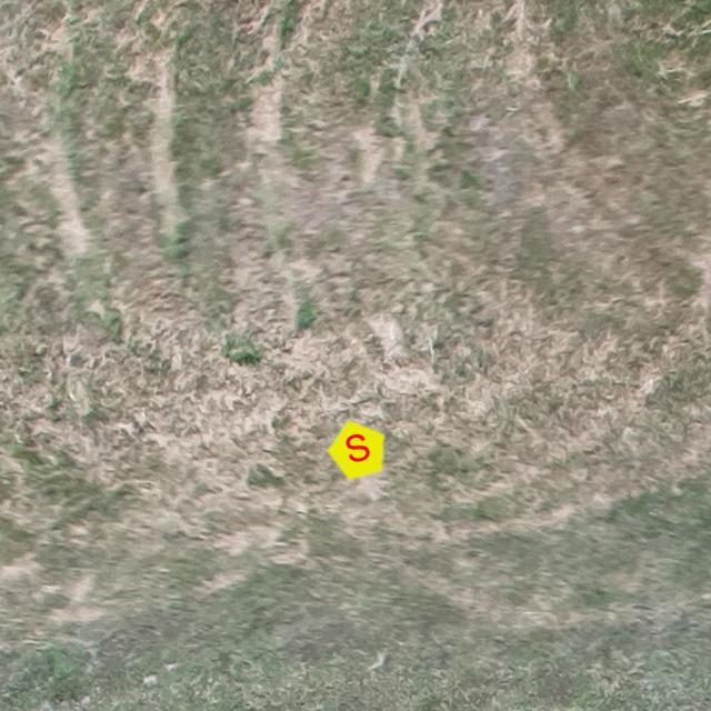 Shape Detection Object Detection Dataset And Pre Trained Model By Pura