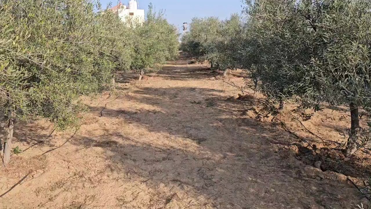 Path Segmentation Semantic Segmentation Dataset by TreeFinder01