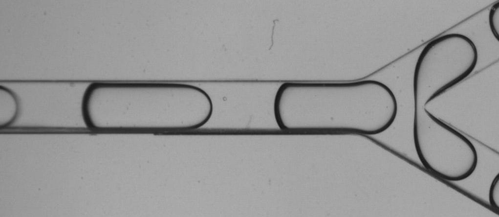 Microfluid Particle Segment Instance Segmentation Dataset by Droplet